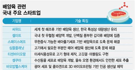 소 도살 없이 맛있는 고기 먹는다입맛 돋우는 K배양육 기술