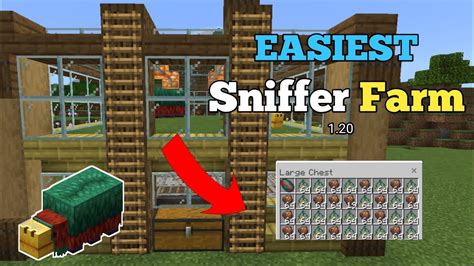 Simple 120 Sniffer Farm Tutorial In Minecraft Bedrock Mcpexboxps4