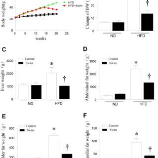 Exercise Reduced Liver Weight And Fat Content In Hfd Fed Mice A Body