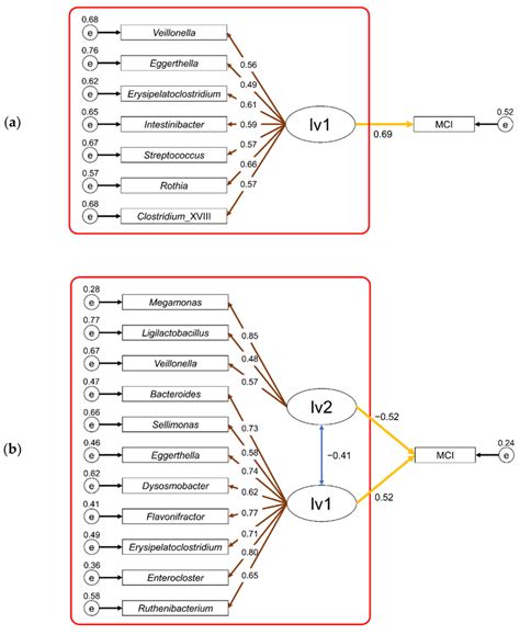 Constructed Structural Equation Models For Males A And Females B Download Scientific