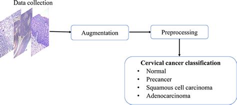 Cervix Type And Cervical Cancer Classification System Using Mder