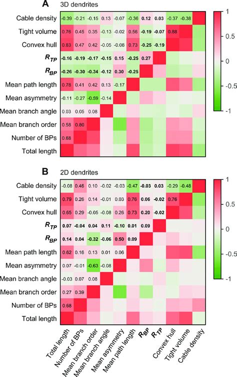 Correlation Matrix
