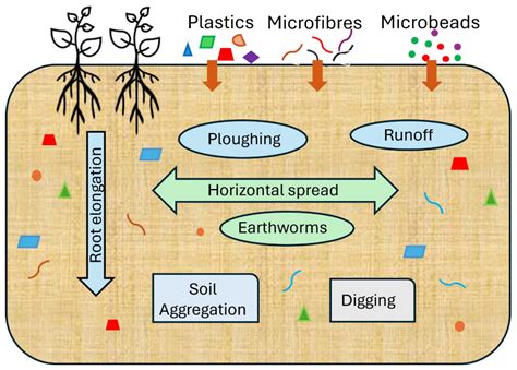 Microplastics And Nanoplastics As Environmental Contaminants Of