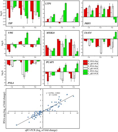 Validation Of Rna Seq Results Using Qrt‒pcr Download Scientific Diagram