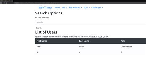 Database Enumeration 6005 Cem Security