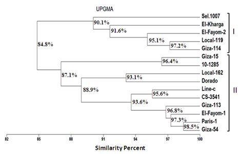 Dendrogram Generated By UPGMA Cluster Analysis Using Similarities