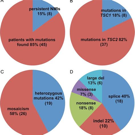 Pdf Mosaic And Intronic Mutations In Tsc1tsc2 Explain The Majority Of Tsc Patients With No