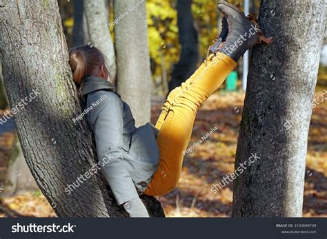 57 818 Device Tree Images Stock Photos Vectors Shutterstock 57 818 Device Tree Images Stock Photos Vectors Shutterstock