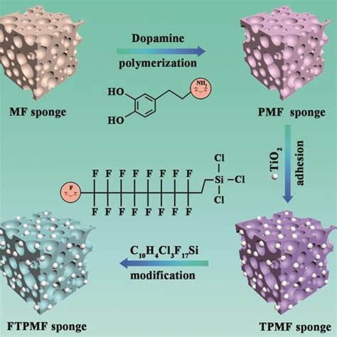 Schematic Illustration Of The Formation Process For Superhydrophobic