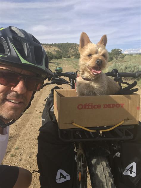 219 Best Rip Bob Images On Pholder Ripbobby G Spongebob And Pics