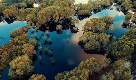 Clean Air Policies Having Unintended Impact Driving Up Wetland Methane