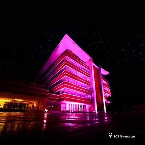 Sayali Shukla On Linkedin Purplelightup