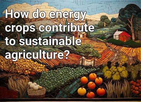 How Do Energy Crops Contribute To Sustainable Agriculture Agriculture Gov Capital