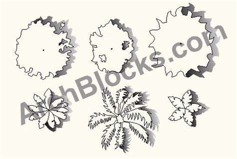 AutoCAD Tree Blocks Plan View Library Landscape Design Drawings Architectural Trees Garden