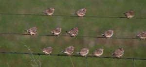 A Gentle Introduction To Numpy Arrays In Python Machinelearningmastery Com