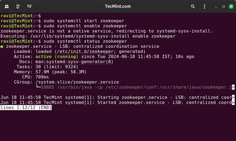 How To Set Up Apache Pinot On Your Linux Server