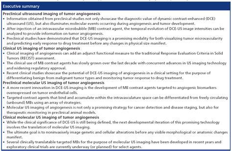 Recent Developments In Dynamic Contrast Enhanced Ultrasound Imaging Of Tumor Angiogenesis