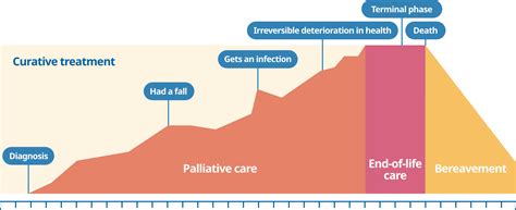 Palliative Care Definition And Benefits Dignified And Respectful Decisions