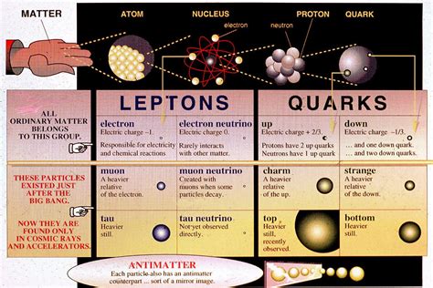 Quarks And Leptons