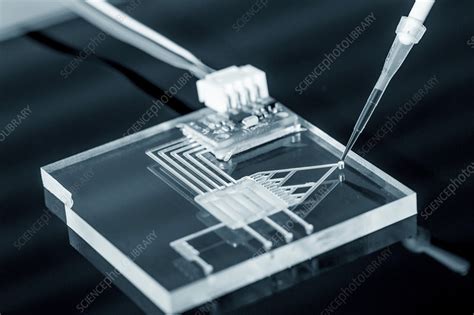 Lab On Chip Stock Image F Science Photo Library