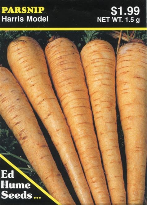 parsnip harris model hume seeds