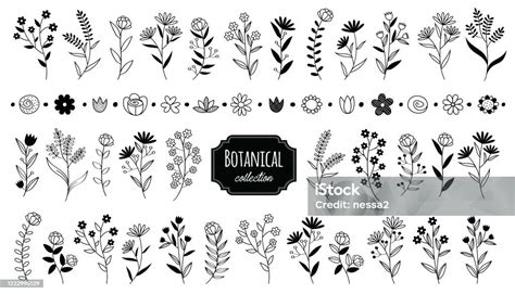 손으로 그린 벡터 꽃 요소 가지와 나뭇잎 허브와 식물 컬렉션입니다 빈티지 식물 그림과 꽃 화환 개체 그룹에 대한 스톡 벡터 아트 및 기타 이미지 Istock