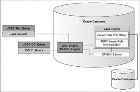 How To Solve Javalangunsatisfiedlinkerror No Ocijdbc11 In Java Programming Tutorial Java