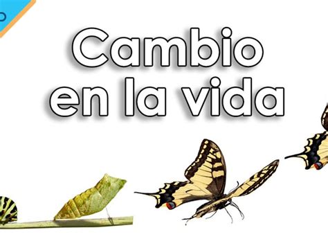 Qué Cambios Se Ven Y Se Sienten En Nuestras Vidas Cotidianas