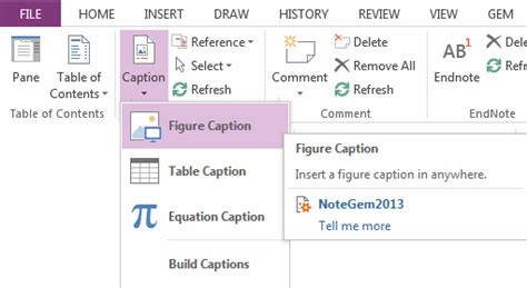 OneNote Insert Figure Table And Equation Caption Office OneNote Gem Add Ins