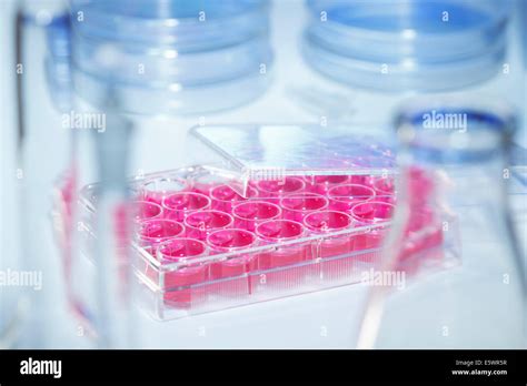 Multiwell Plate Containing Cell Culture Medium DMEM Surrounded By Laboratory Flasks Stock