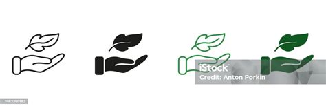 손에 가벼운 깃털 실루엣과 라인 아이콘 세트 부드럽고 섬세한 민감한 깃털 검정과 녹색 픽토그램 경량 기호 쉬운 부드러운 깃털 격리된 벡터 그림 검은색에 대한 스톡 벡터 아트