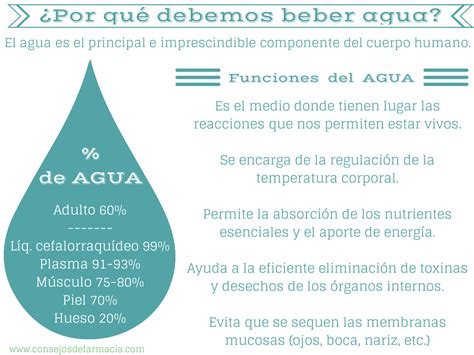 ¿por Qué Es Importante Beber Agua Consejos De Farmacia