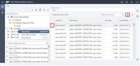 Troubleshoot SQL With SAP HANA Database Explorer SAP Tutorials