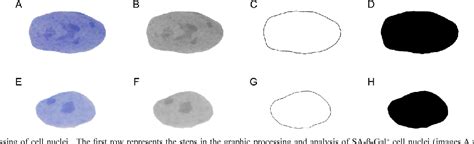 Figure 1 From Fractal And Gray Level Co Occurrence Matrix Texture Analysis Of Senescent And Non