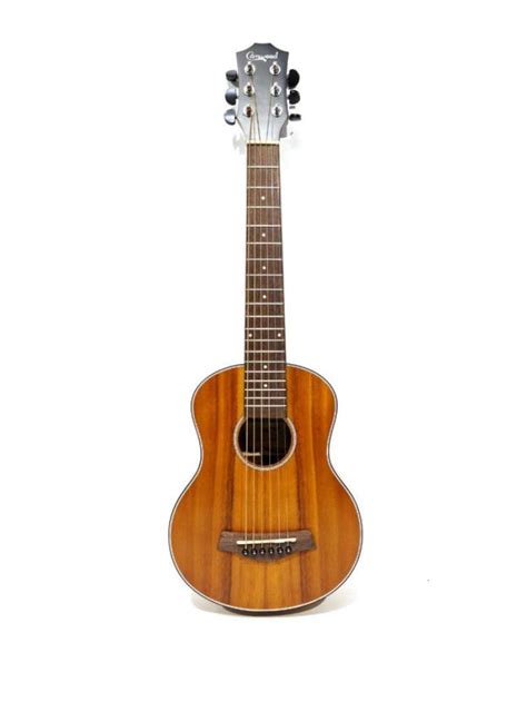 Jual Gitar Akustik Merk Camwood Original Tipe Iwc 30 Nsk Gitarlele String Di Seller Plaza