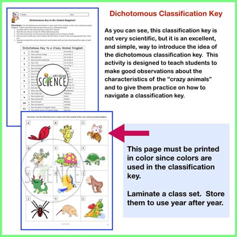 Dichotomous Classification Key Activity By Amy Brown Science Tpt
