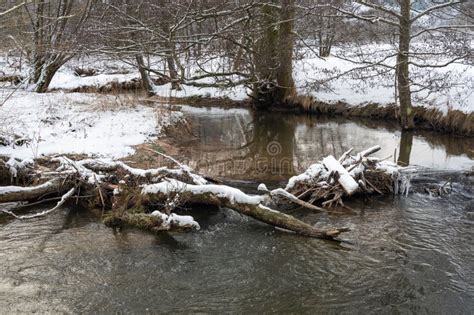 River Landscape With A Small Beaver Dam In Winter With Lots Of Snow Stock Image Image Of
