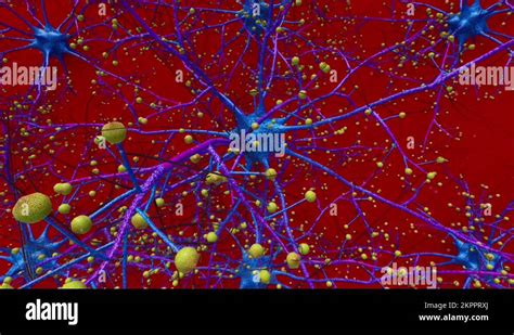 Neural Networks Brain Stock Videos And Footage Hd And 4k Video Clips