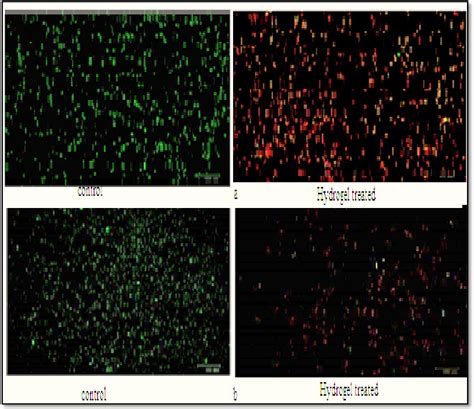 figure 7 from bsa adsorption and antibiofilm properties of n