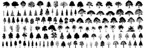How To Draw A Tree Photoshop
