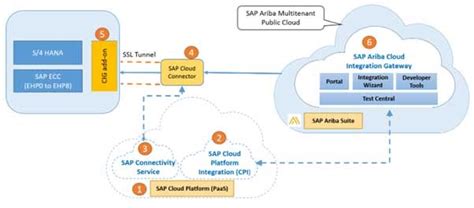 Sap Ariba With S 4hana Connectivity