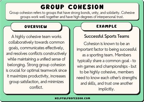 Social Cohesion Examples That Strengthen Communities