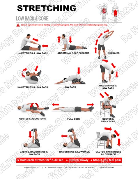 Buy Print License For Low Back And Core Stretching Guide Strengthen And