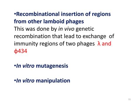 Lectut Btn 202 Ppt L4 Bacteriophage Lambda And M13 Vectors 1 Pptx