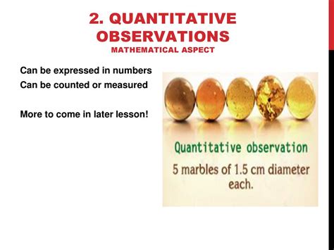 Do Now Make 5 Observations About The Item On The Lab Bench Ppt Download