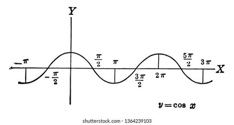 Hand Drawn Vector Mathematical Illustration Cosine Stock Vector Royalty Free 2505546437