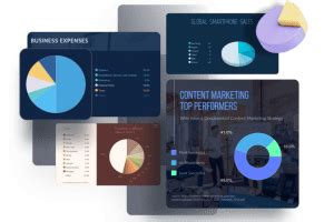Free Pie Chart Maker Create Your Own Pie Graphs With Visme