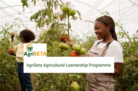 Agriseta Learnership 2025 Your Gateway To A Career In Agriculture