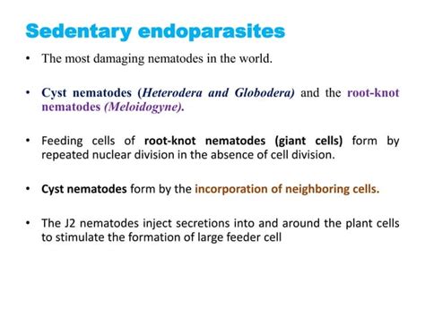Plant Nematode Interactions Pptx Gardening Home And Garden