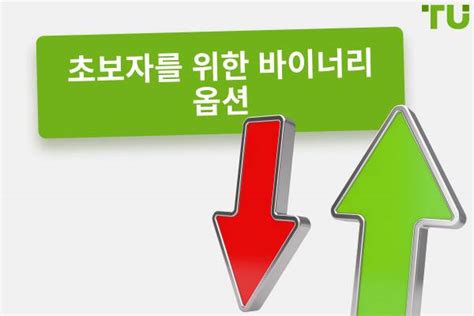 바이너리 트레이딩을 배우는 방법 초보자를 위한 바이너리 옵션
